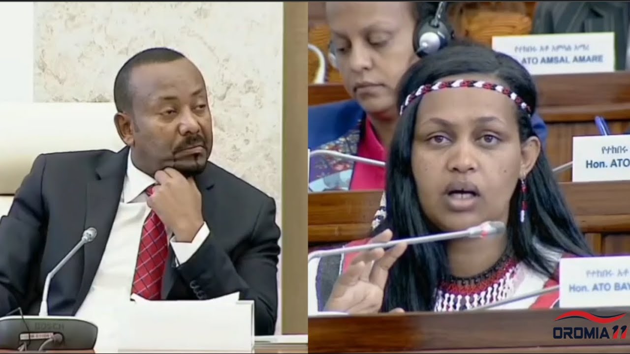 Oromia11 Oduu 11 16 2023 Youtube