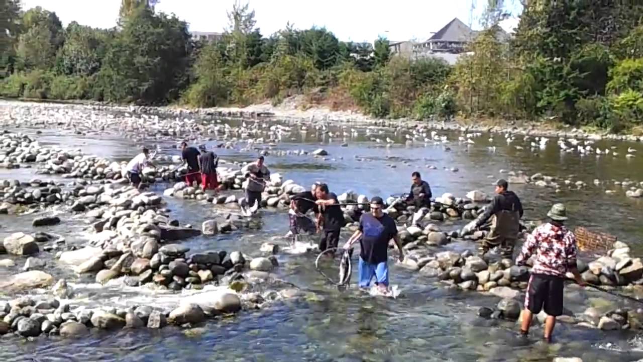 Capilano River Coho Salmon Indian Reserve Massacre North Vancouver