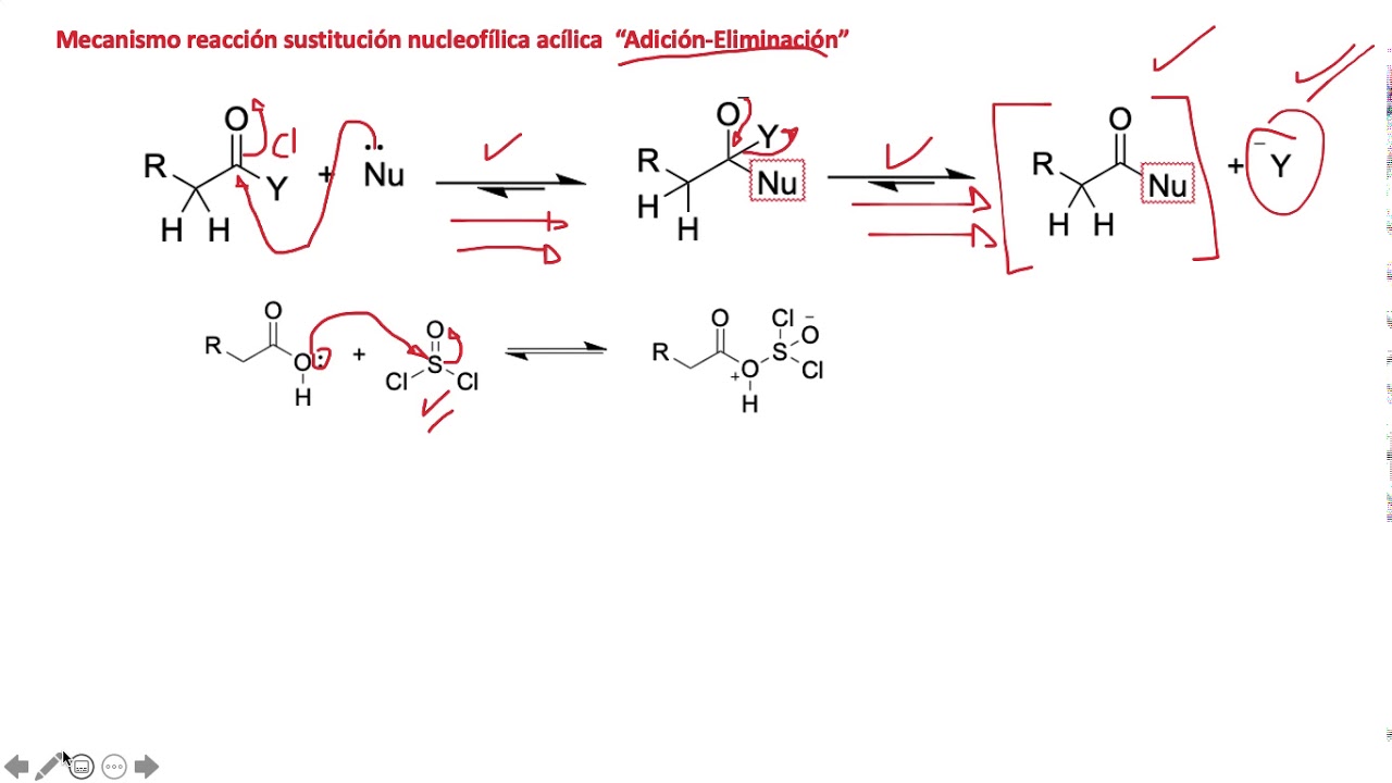 Adición Eliminación Sustitución Nucleofílica Acílica Youtube