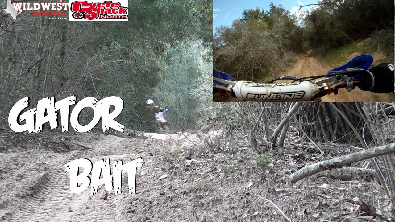 Gator Bait 2012 Trailer Youtube
