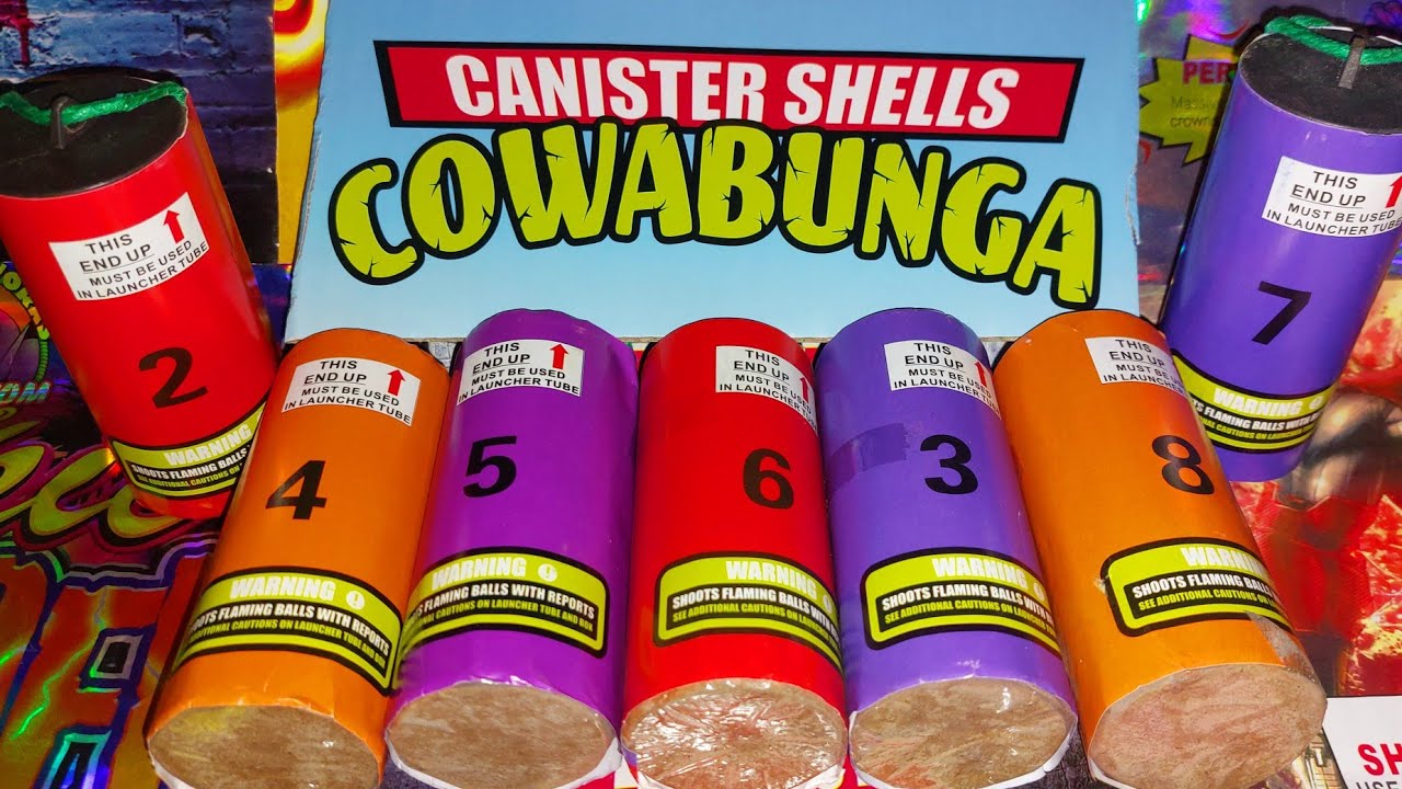 Top 10 Canister Shells At George Havens Blog