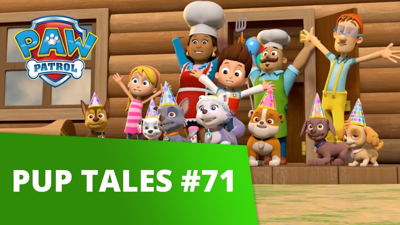 Paw Patrol Pups Save Jake S Cake Rescue Episode Paw Patrol
