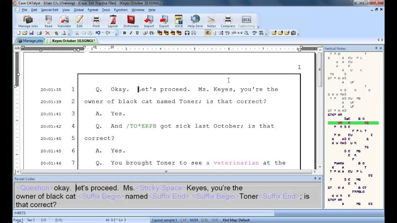 Catalyst Training Local Edit Techniques Youtube