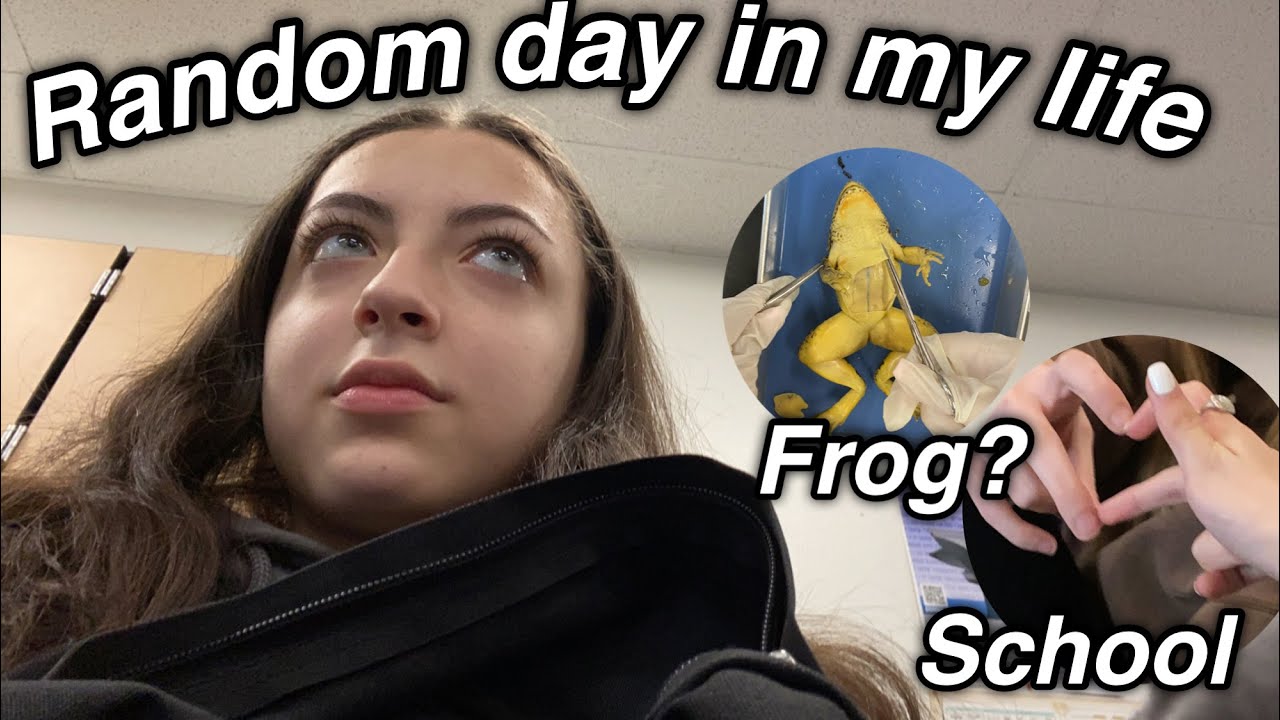 Random Day In My Life Vlog Youtube