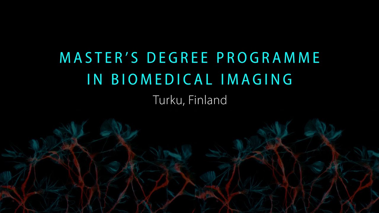 Msc Biomedical Imaging Programme Students Interview Youtube