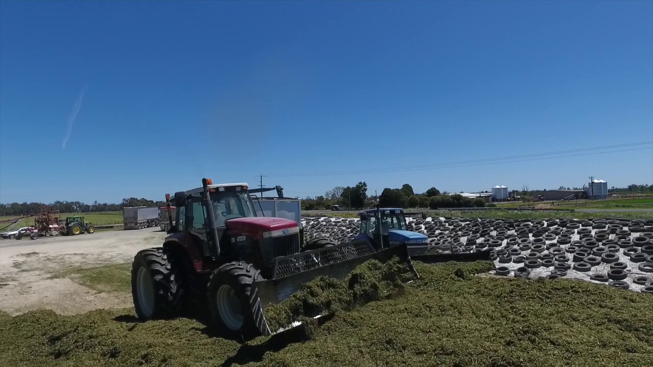 Silage Youtube