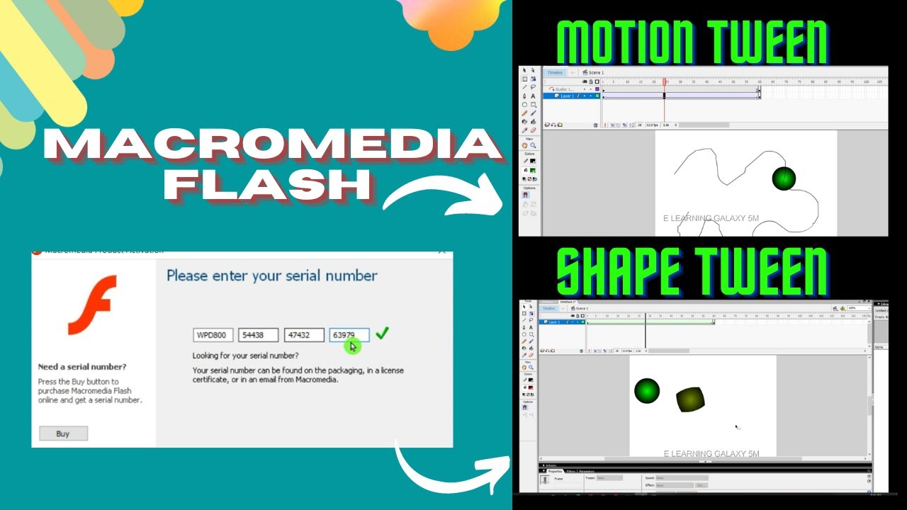 Macromedia Flash 8 Installation Motion Tween Shape Tween Flash
