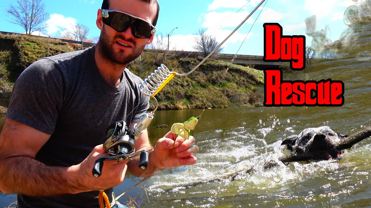 Fishing Turns Into Dog Rescue Youtube