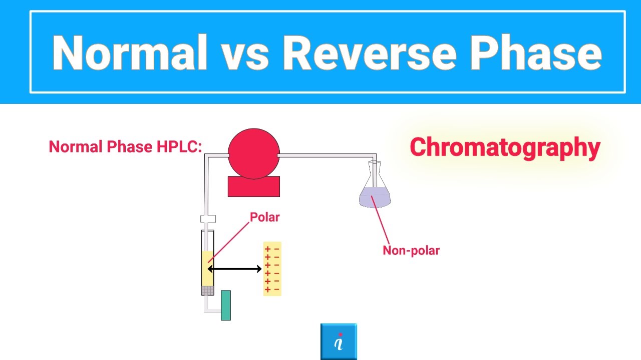 What Is Reverse Phase Vs Normal Hpl Chromatography Youtube