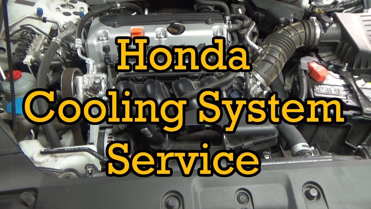 Honda Cooling System Service Fluid Change Youtube