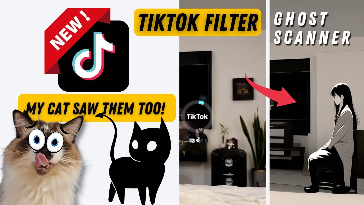 Can The New Viral Tiktok Ai Filter Really Detect Ghosts 亞 My Cat Saw