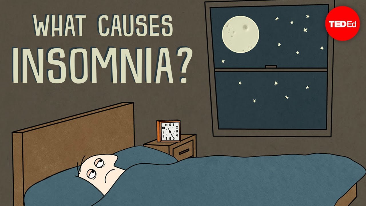 What Causes Insomnia Dan Kwartler Youtube