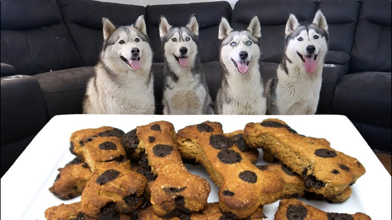 Cookie Crisp Dog At Michael Tirado Blog