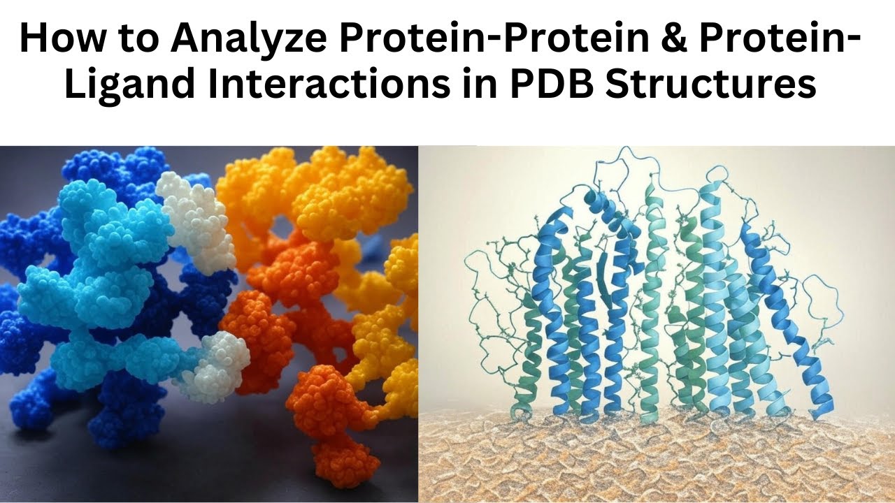 How To Analyze Protein Protein And Ligand Interaction Professionally