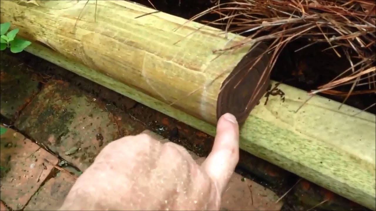 Landscape Timbers Youtube