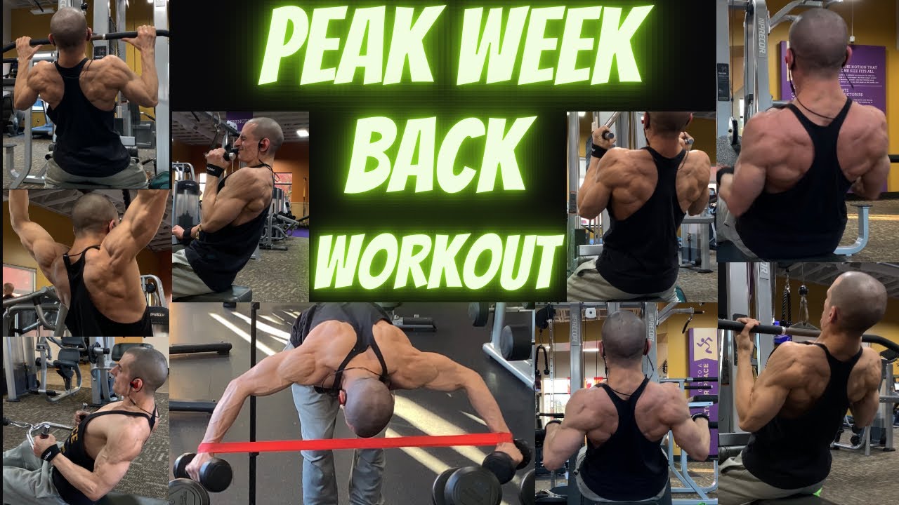 Complete Back Workout Youtube