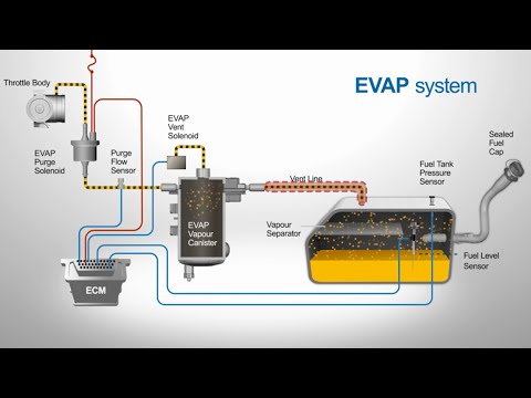 Vented Evaporative Systems Youtube