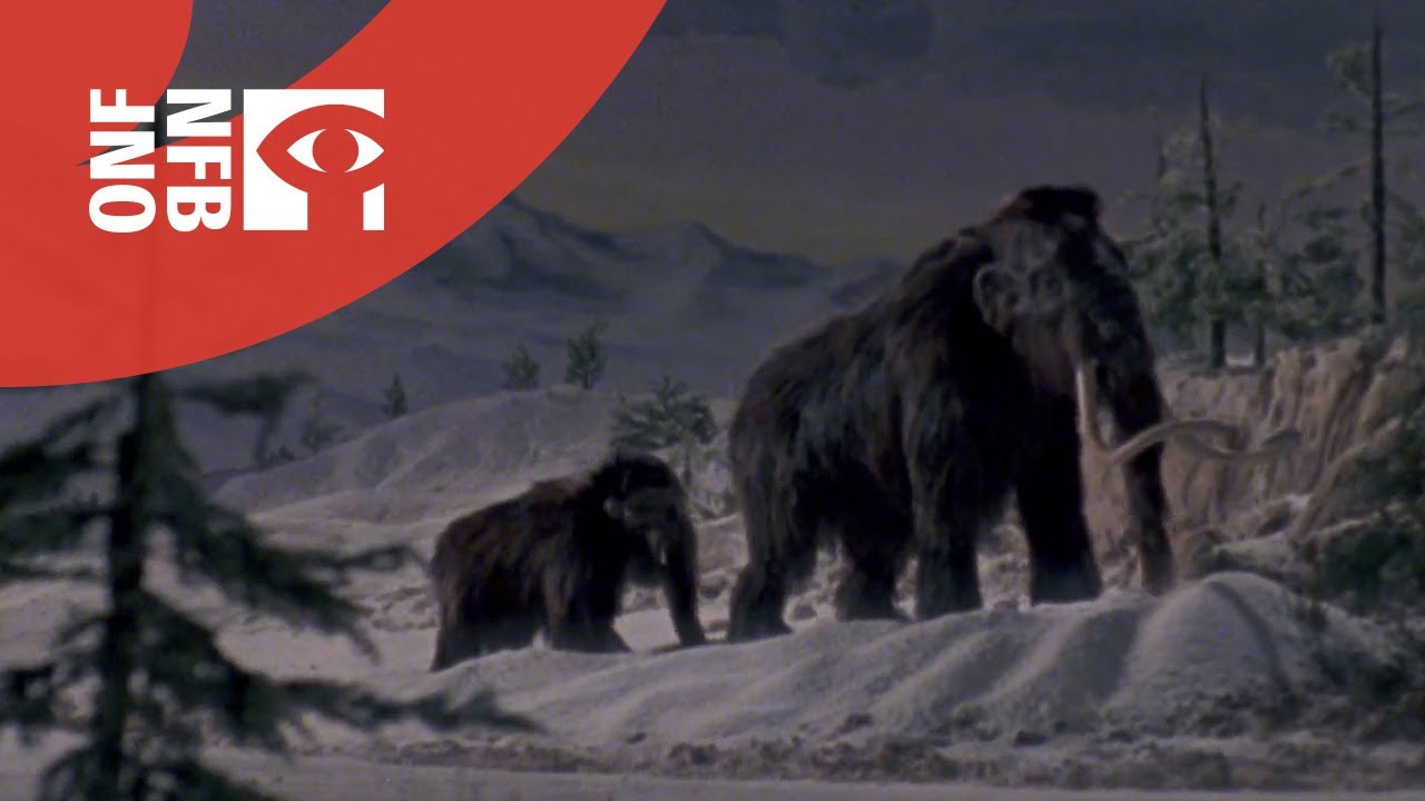 Canada Vignettes Woolly Mammoth Youtube