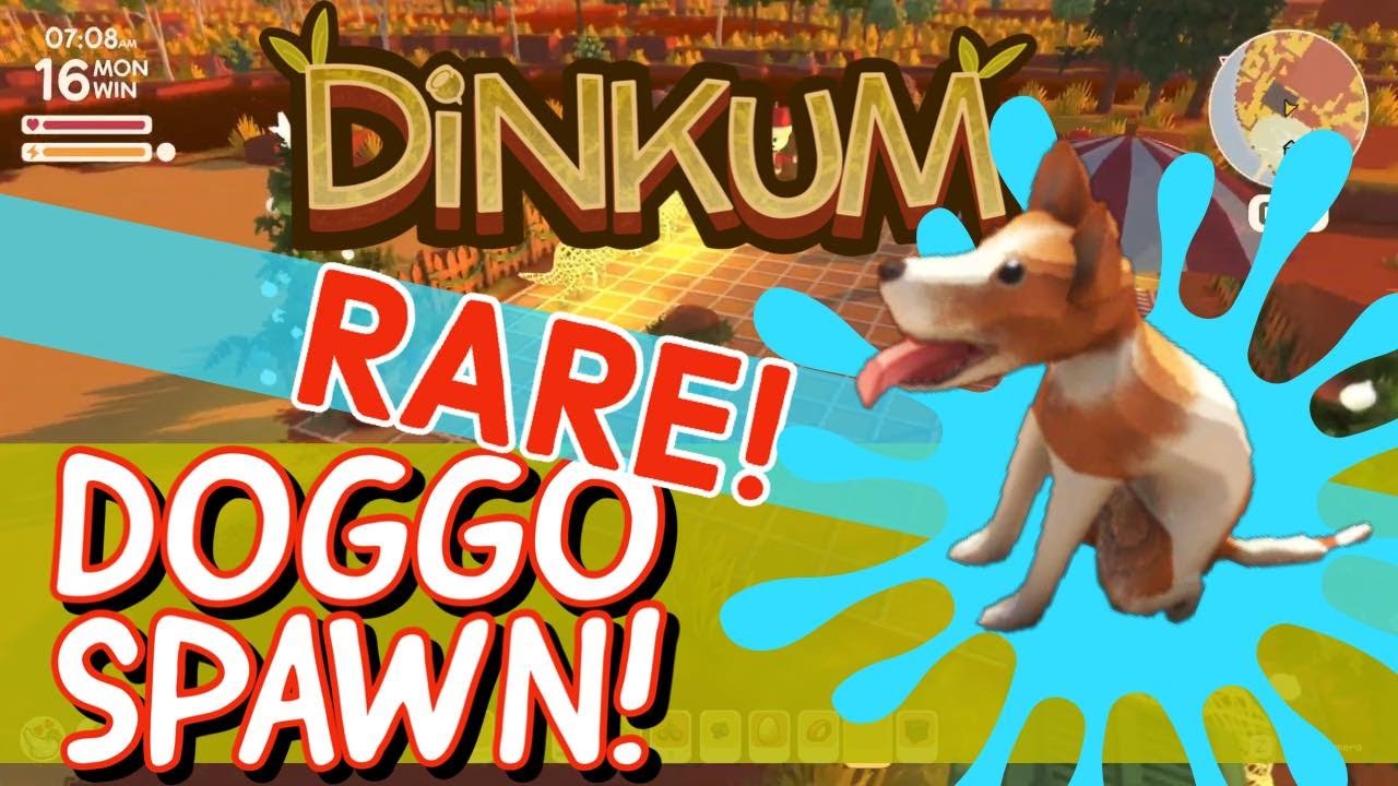 Rare Dogs Dinkum