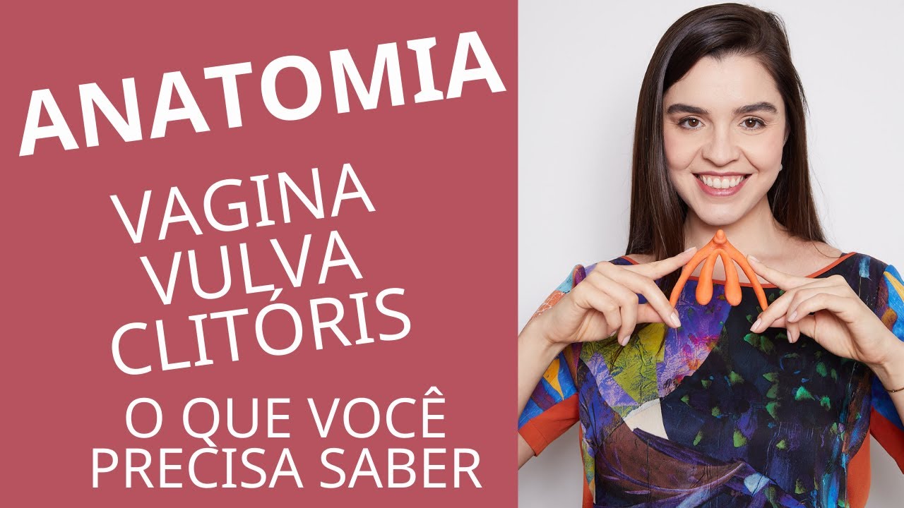 Onde Fica O Clitóris O Que Ele é Anatomia Da Vulva Vagina E Clitóris