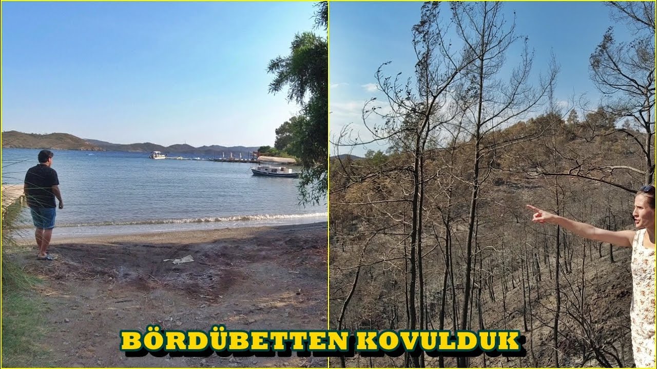 Amazondan Kovulduk Datã Anä N Zorlu Gä Rä åžä Bã Rdubete Varamadä K Youtube