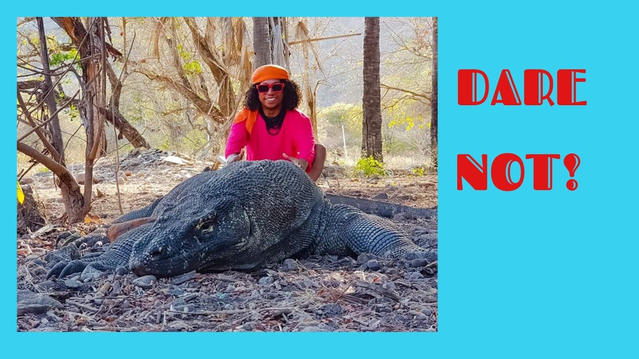 Indonesia The Komodo Dragons Youtube