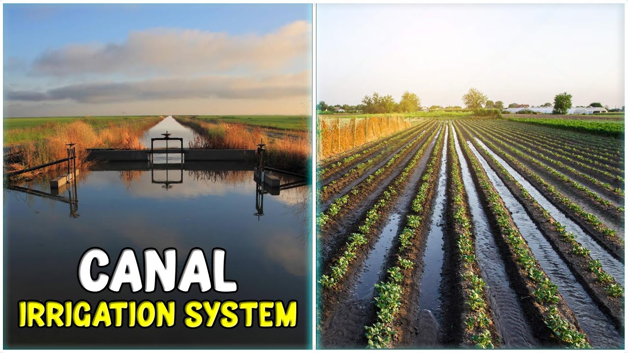 Canal Irrigation System How Does It Works Youtube