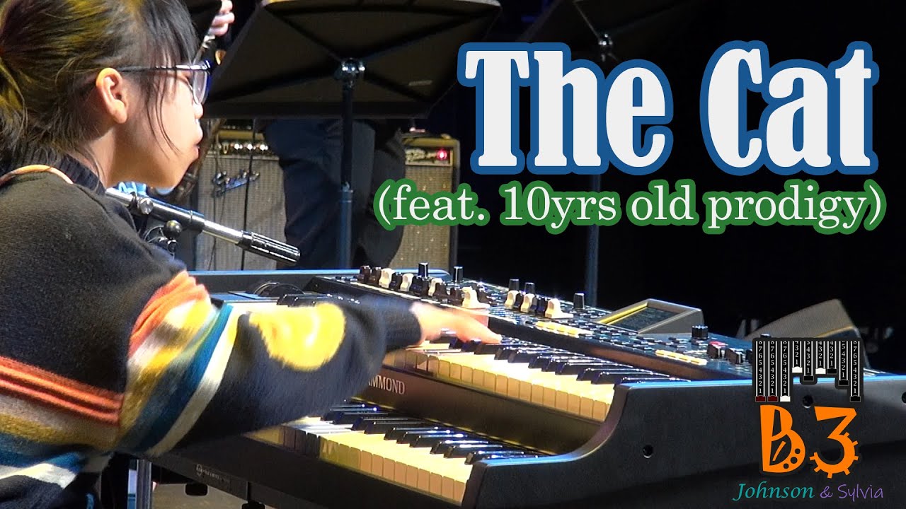 Hammond Skx Pro The Cat B3 Johnson Sylvia 香港東區文化節 Youtube
