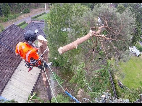Pine Rigging Youtube