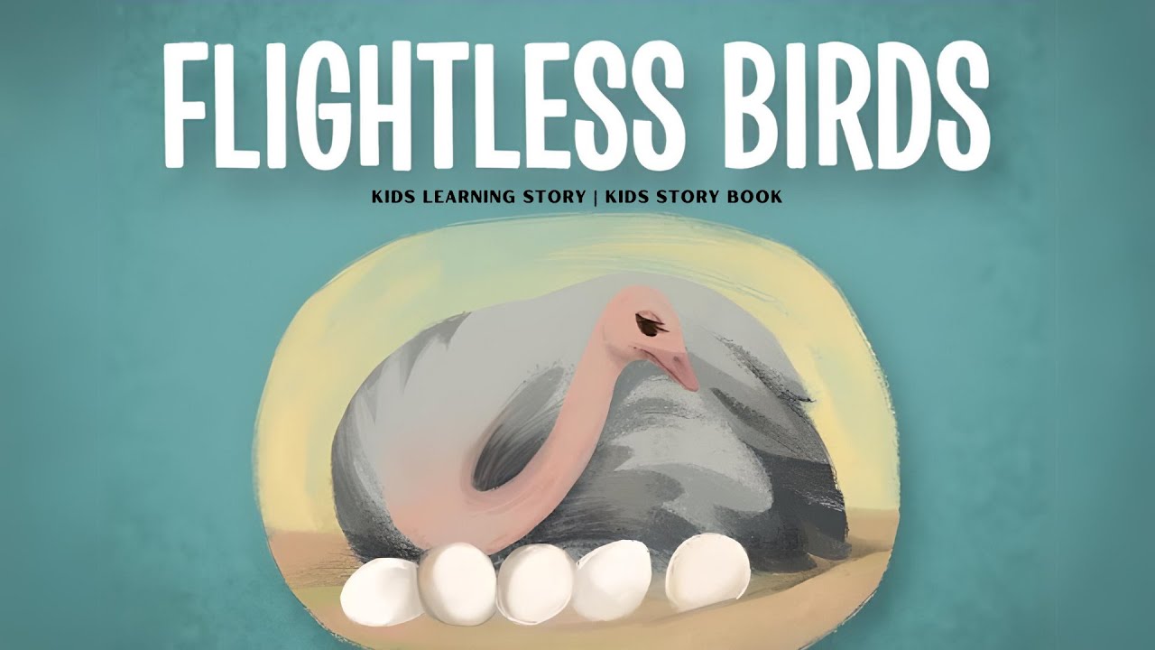 Flightless Birds Kids Learning Story Storytime Online Kids Story