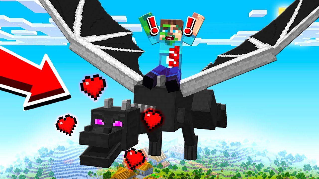 How To Train Your Ender Dragon Youtube