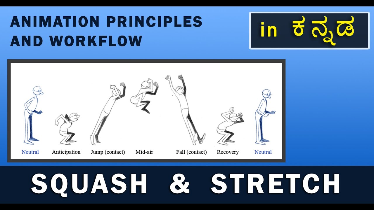 The Squash And Stretch Principle At Gail Gaskell Blog