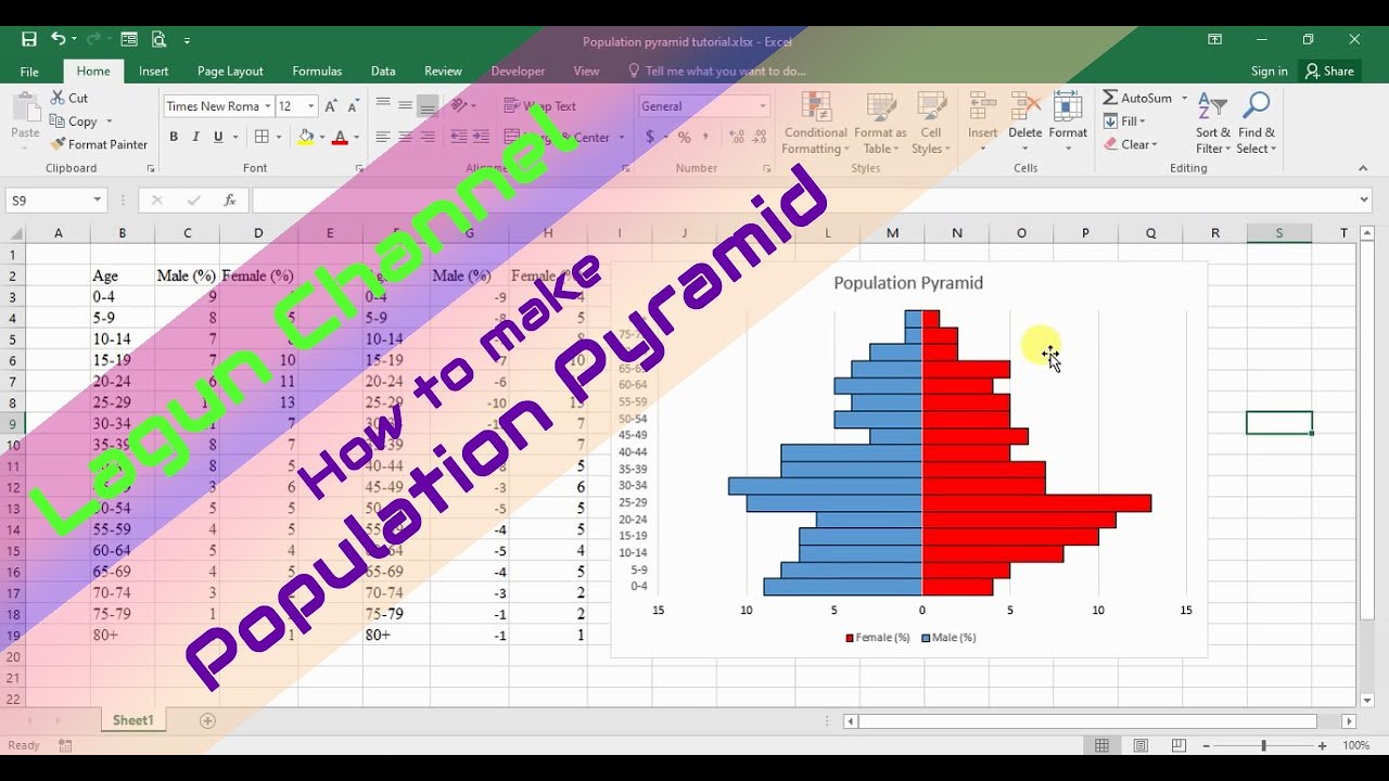 How To Make Population Pyramid In Excel Tutorial Lagun Channel