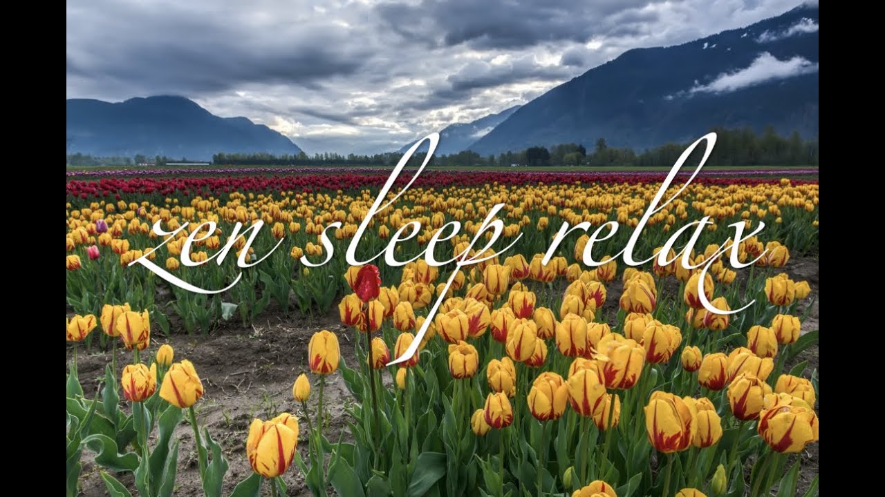 Photo Gallery Of Landscapes Zen Music For Relaxation Study Meditate