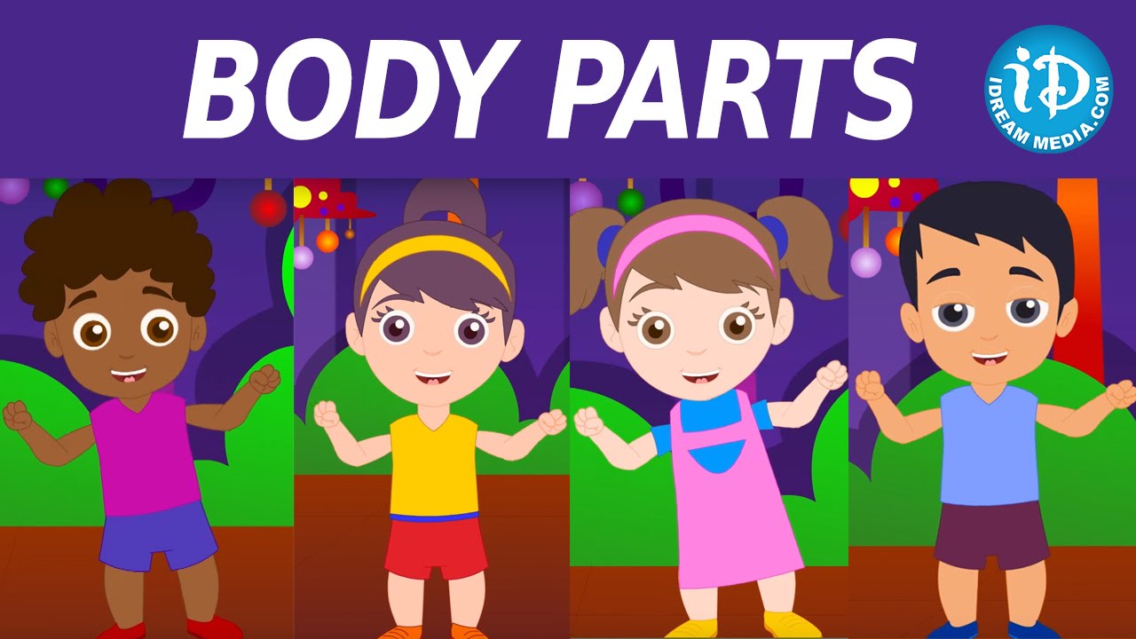 Body Parts Song For Kids Nursery Rhymes Body Parts Rhyme Kids