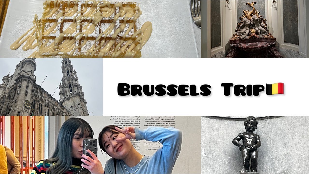 Vlog 5 Brussels Trip рџ рџ є Youtube