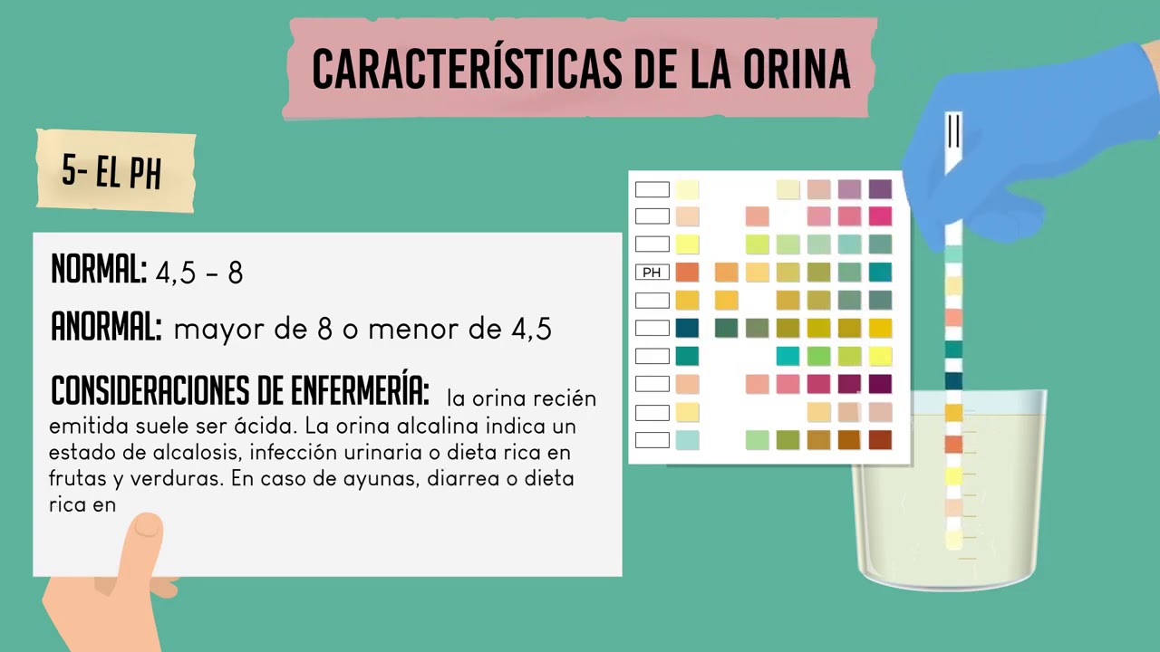 Cual Es El Ph En La Orina Normal