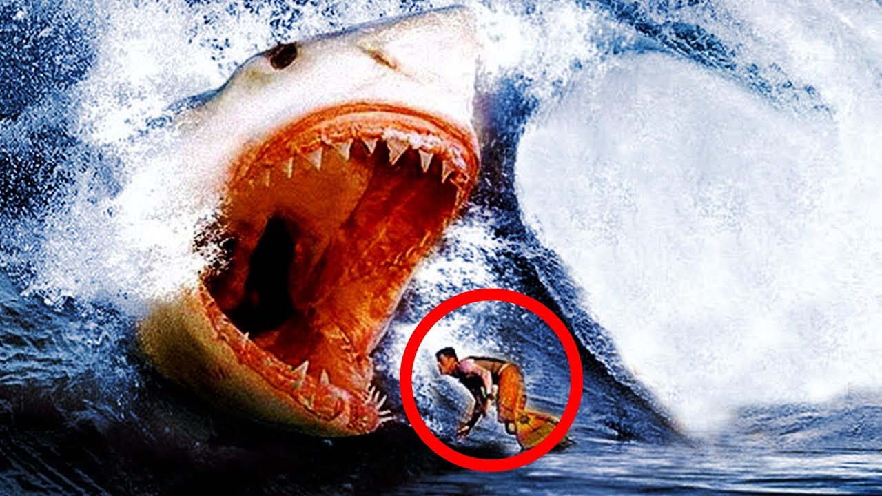 Most Badass Creatures You Ll Be Glad Are Extinct Youtube