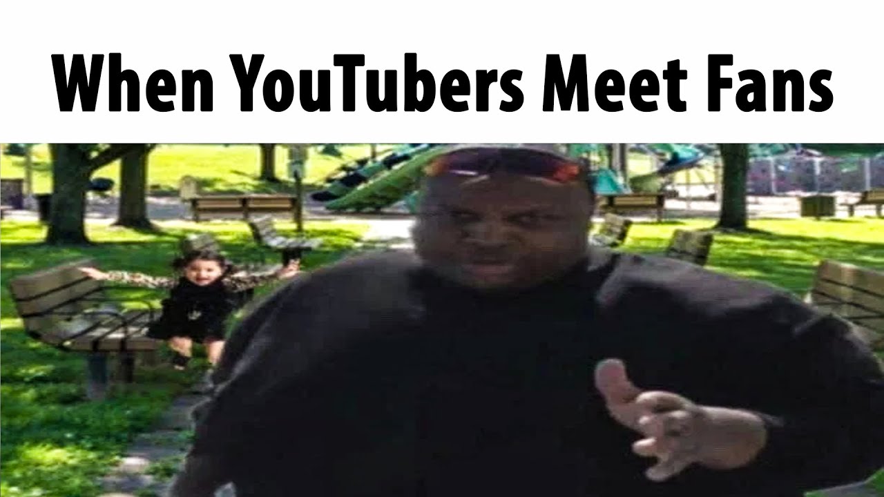 When Youtubers Meet Fans Youtube