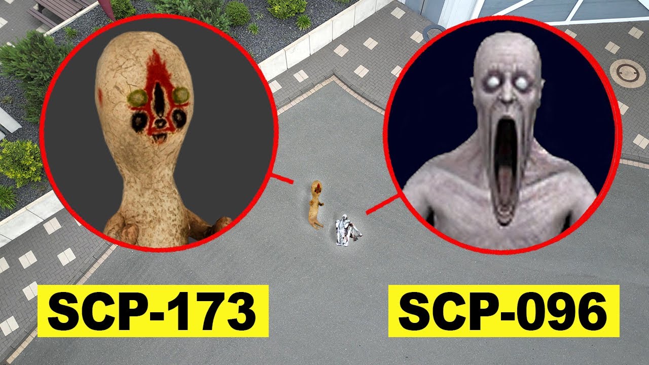 Drohne überwacht Scp 173 Und Scp 096 In Real Life Um 3 Uhr Mittags