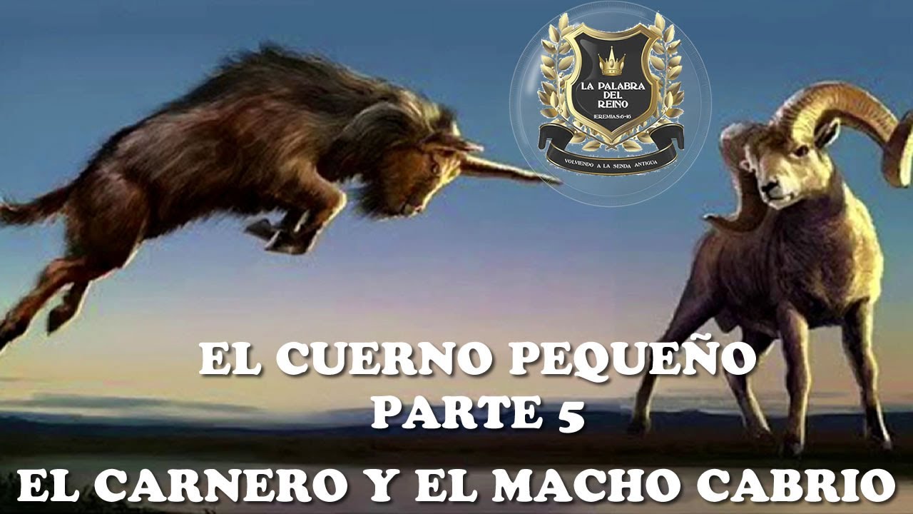 El Cuerno Pequeño Parte 5 El Carnero Y El Macho Cabrio Youtube