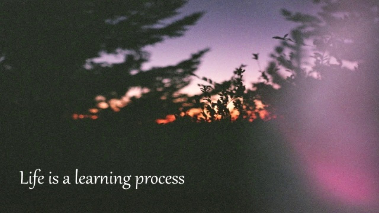 Life Is A Learning Process Youtube