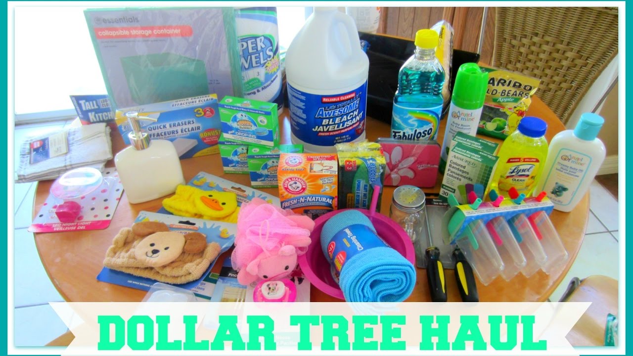 Dollar Tree Haul Youtube