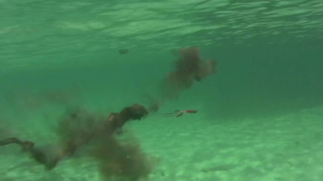 Squid On Youtube