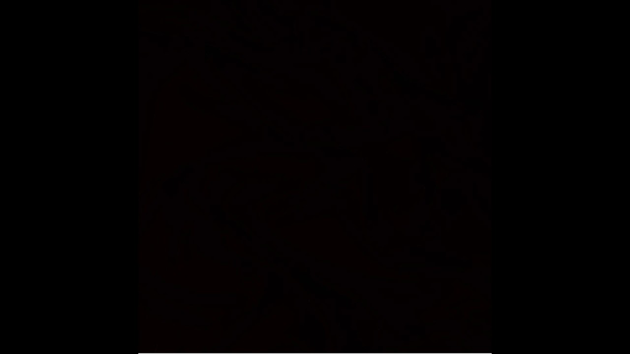 Bo7 Youtube