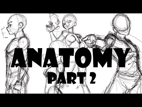 How To Draw Anatomy Part 2 Youtube