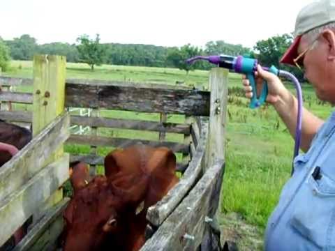 Prima Tech Pour On Demo Youtube