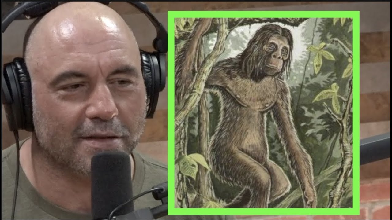 Joe Rogan Is There Evidence Of Mythical Ape Creature The Orang Pendak