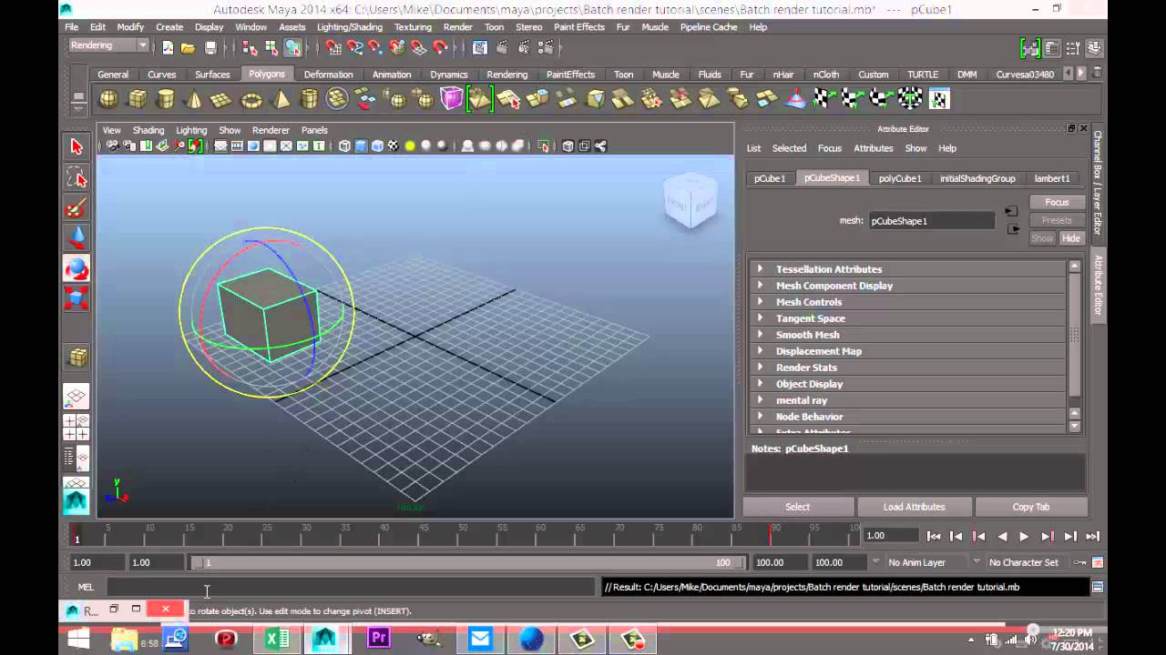 Maya Render View Medicer