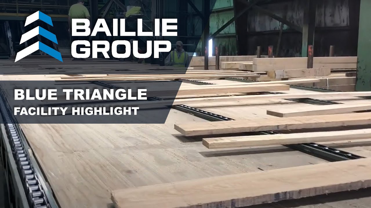 A Look Inside Blue Triangle Hardwoods Baillie Lumber Youtube